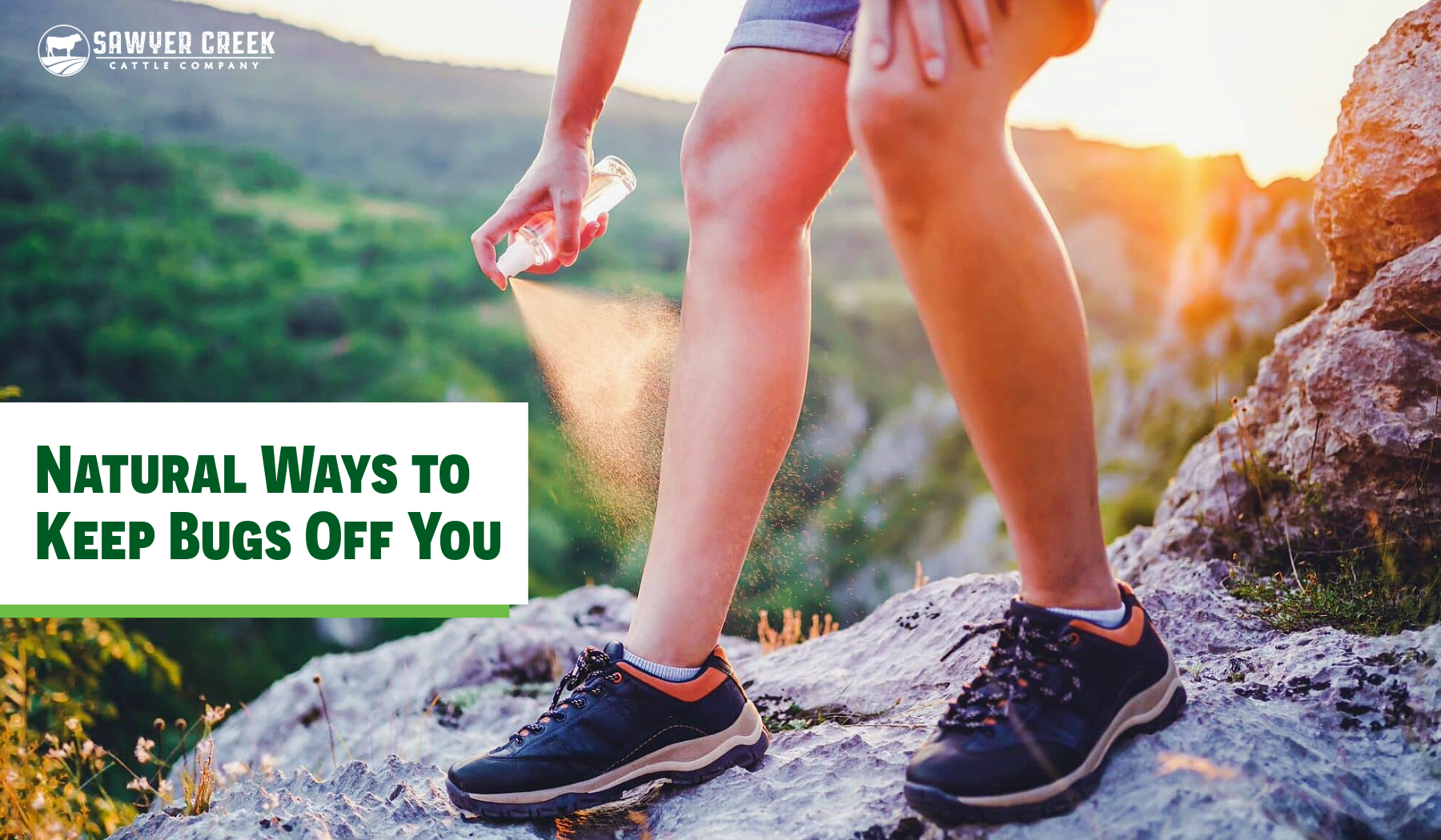 Natural Ways to Keep Bugs Off You (Without Smelling Like a Science Pro ...